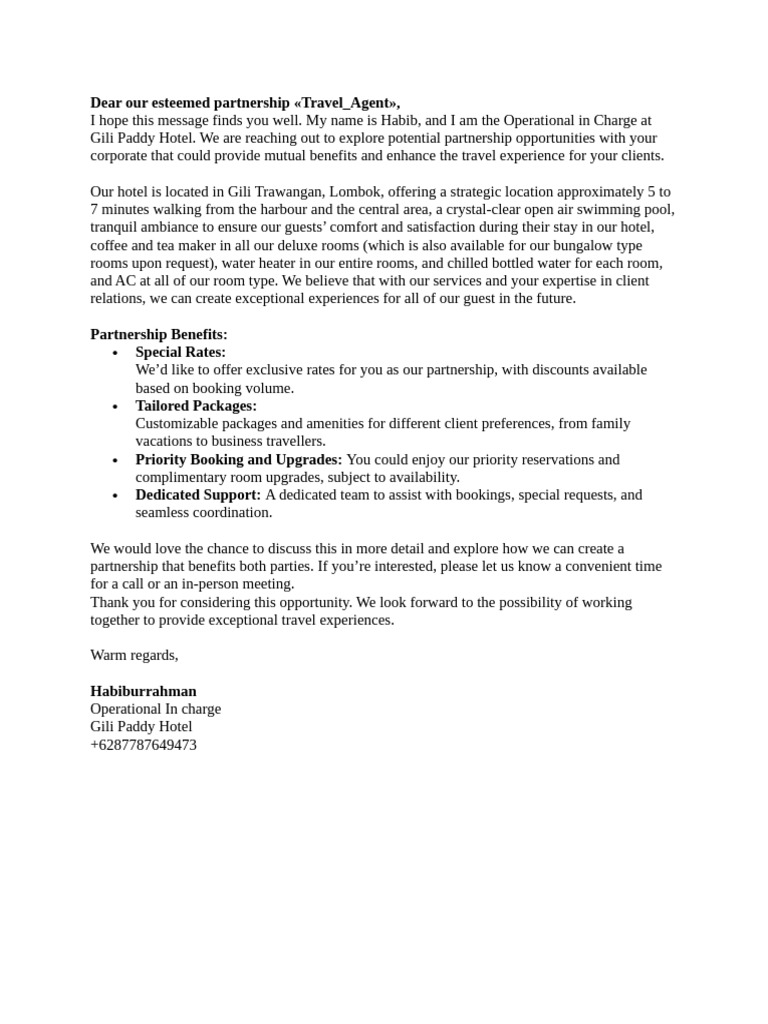 Email Blasting | PDF