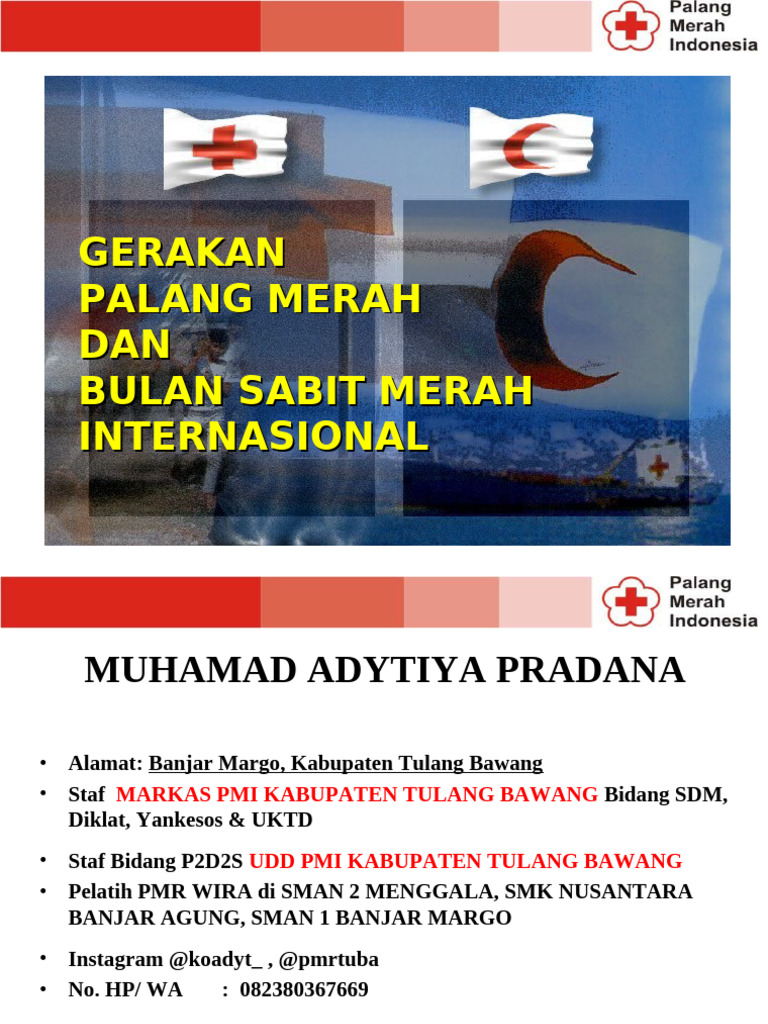 Gerakan Palang Merah Dan Bulan Sabit Merah | PDF | Politik | Perjalanan