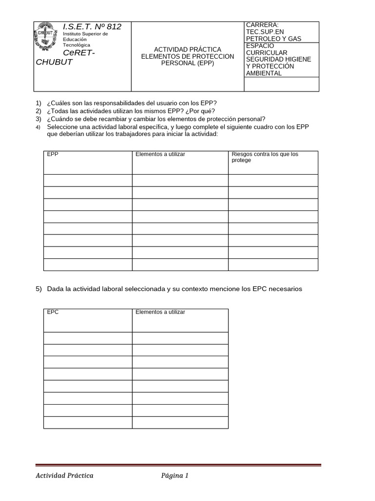 Actividad Práctica Sobre EPP | PDF