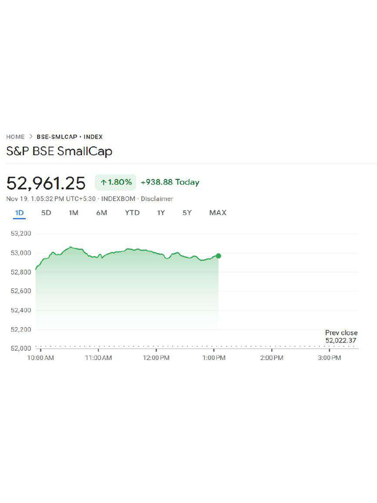 MID and Small Cap | PDF
