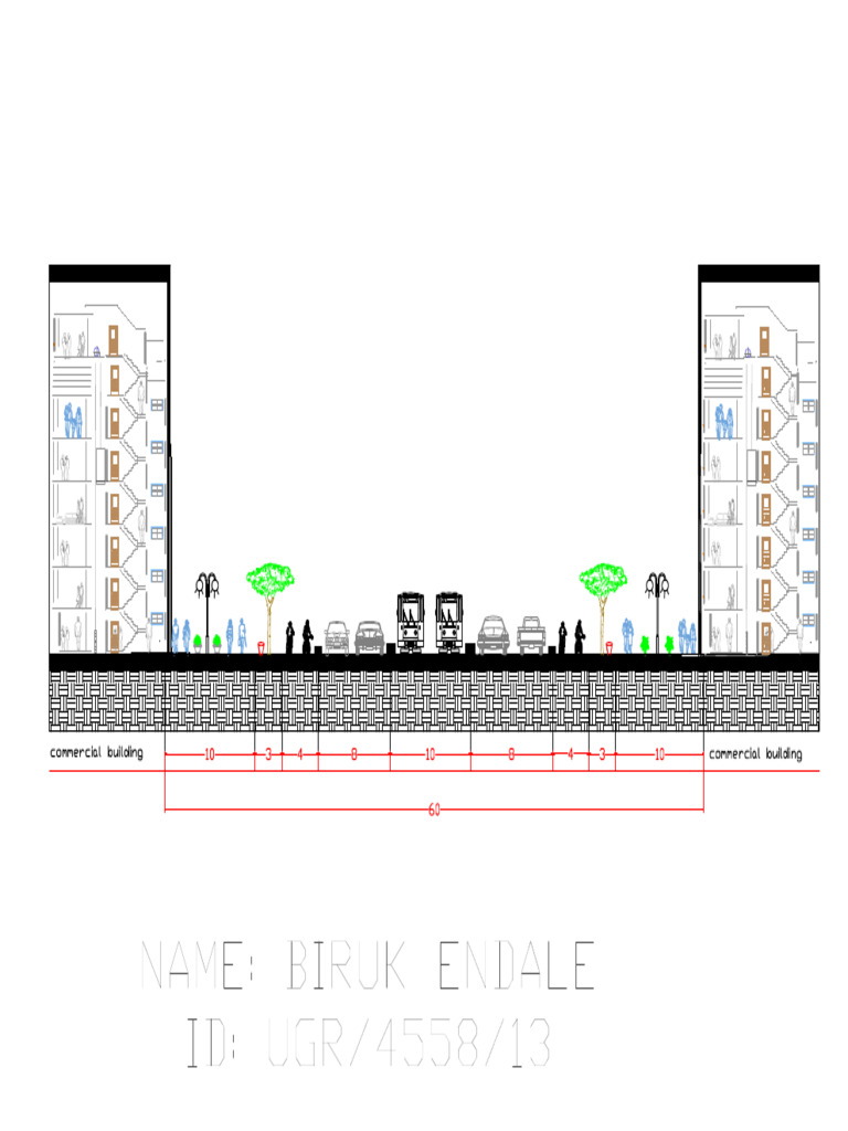 Biruk Endale 2 | PDF
