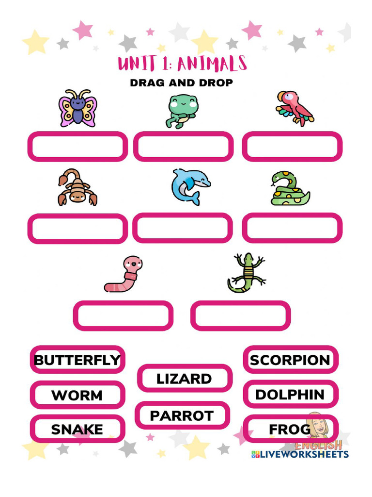 Unit 1.animals | PDF