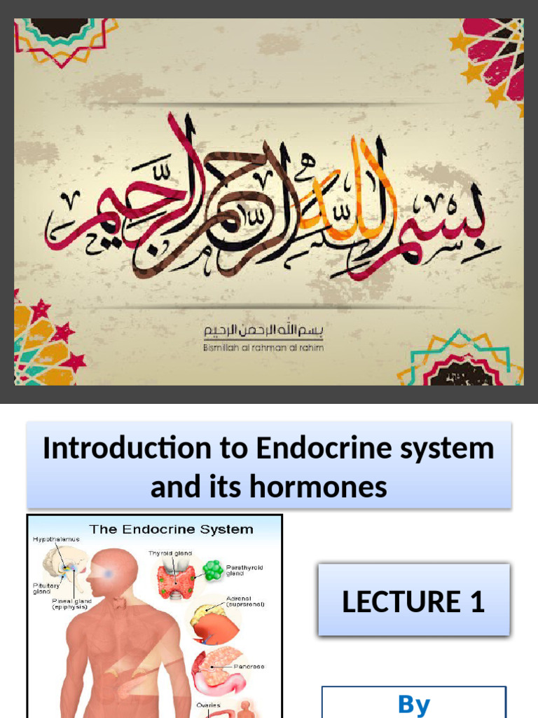 1 - Introduction To Endocrine System and Its Hormones | PDF | Hormone ...