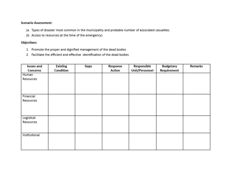 MDM Plan Template | PDF