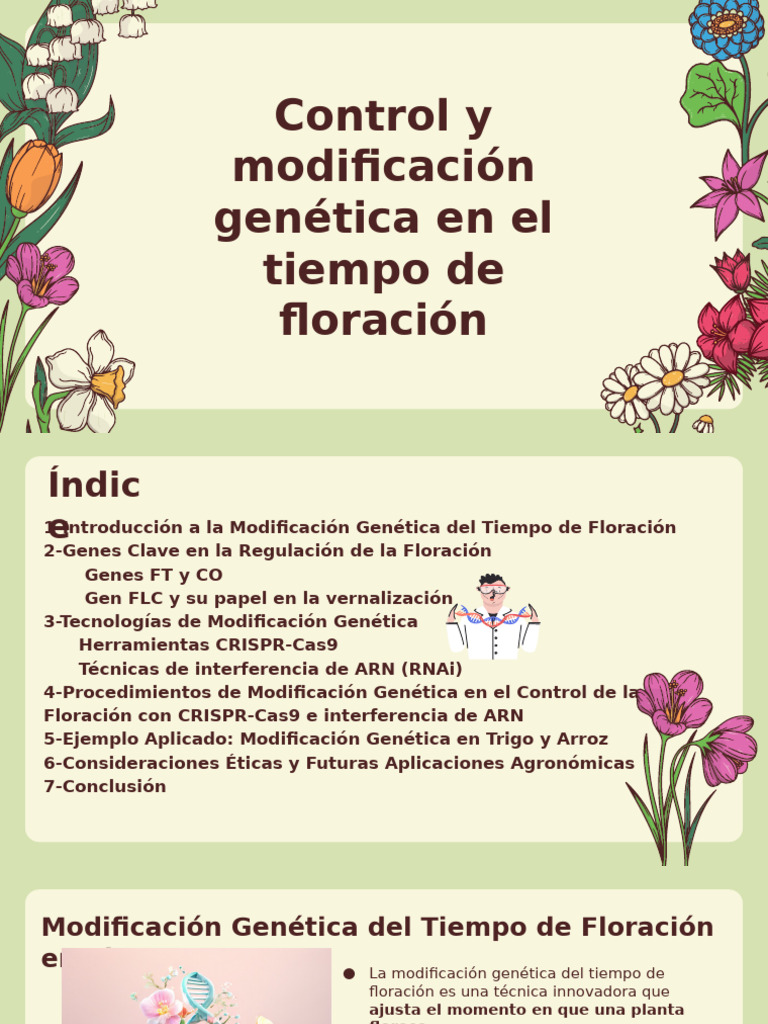 Control Genetico de La Floracion FINAL | PDF | Gene | Rna