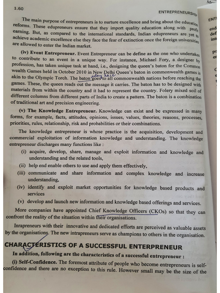 Successful Entrepreneur | PDF