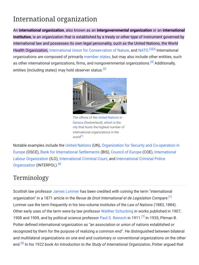 Understanding International Organizations | PDF | International ...