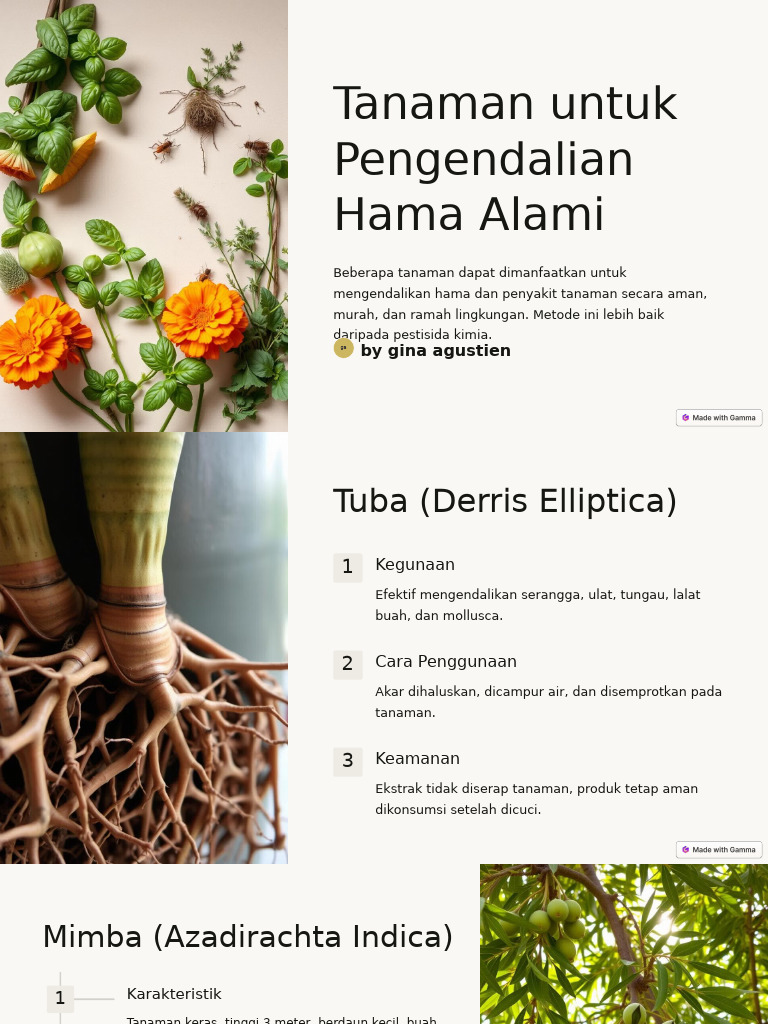 Tanaman Untuk Pengendalian Hama Alami | PDF