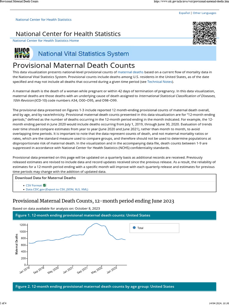 National Centre For Health Statistics CDC 2023 | PDF | Maternal Death ...