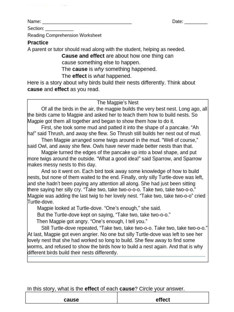 Grade-3-Cause-Effect-Activity Sheets | PDF | Birds