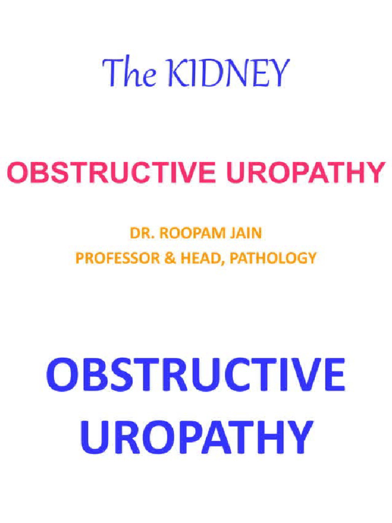 The Kidney Obstructive Uropathy 249721094 | PDF