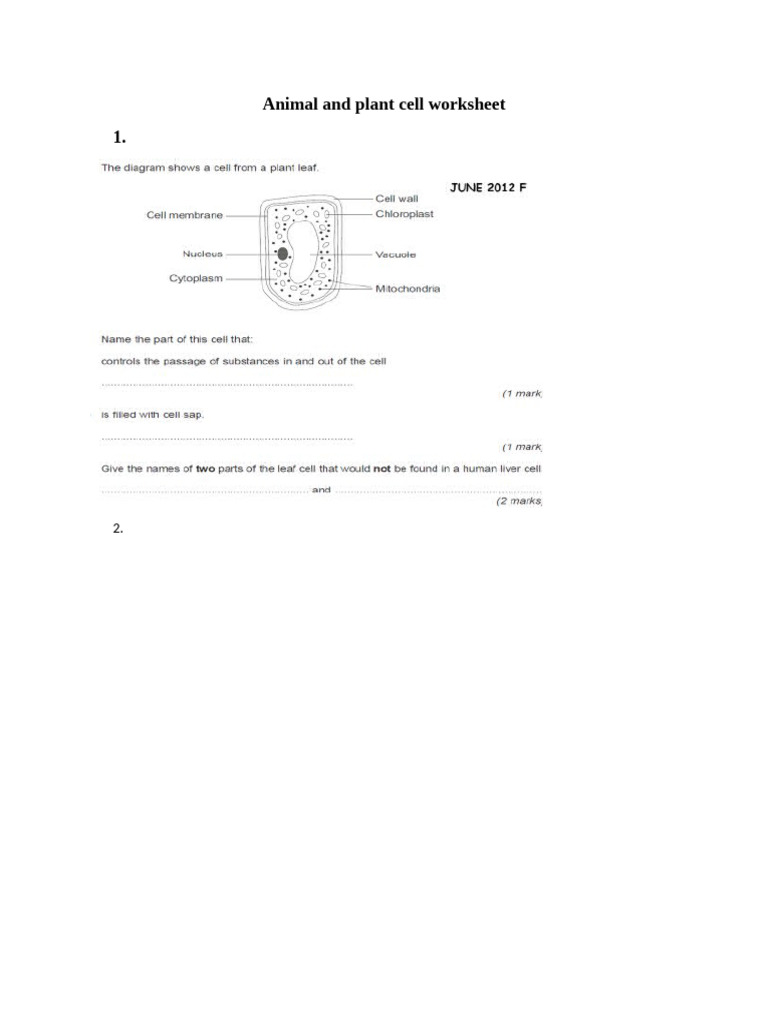 Animal and Plant Cell Worksheet | PDF