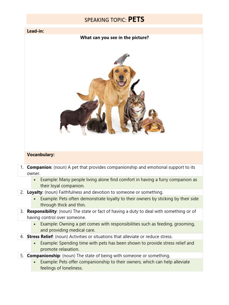 Pets | PDF | Pet | Interpersonal Relationships