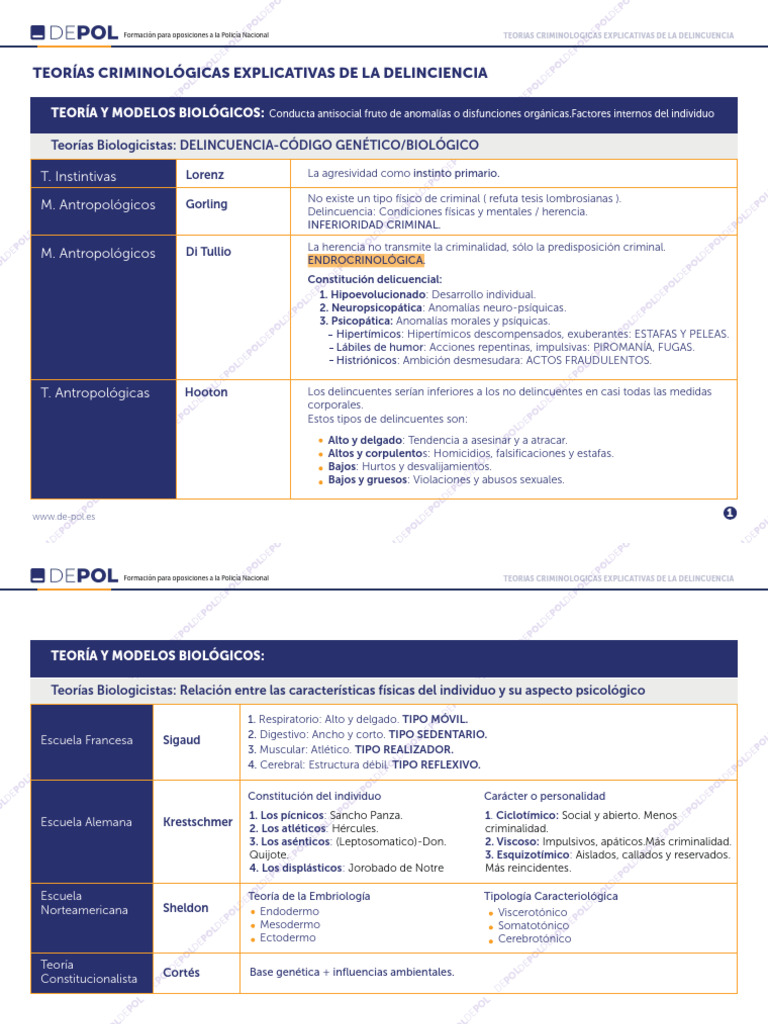 Esquema T26 | PDF | Criminología | Crímenes