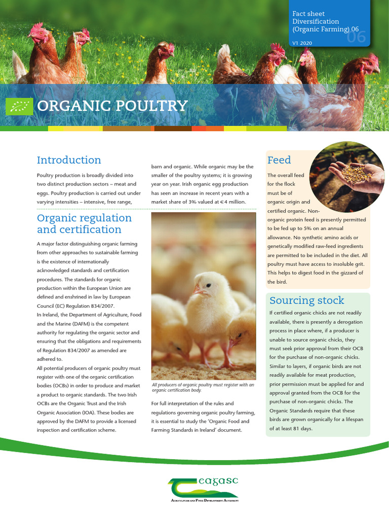 Organic Poultry | PDF | Poultry Farming | Poultry