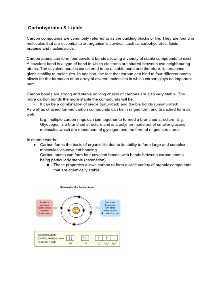Unit 2 - Carbohydrates and Lipids | PDF | Glucose | Fatty Acid