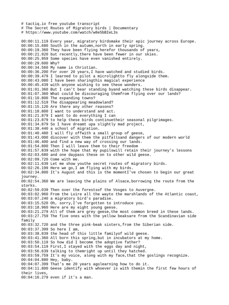 Tactiq Free Transcript w8e5bBIeL3s | PDF | Bird Migration | Goose