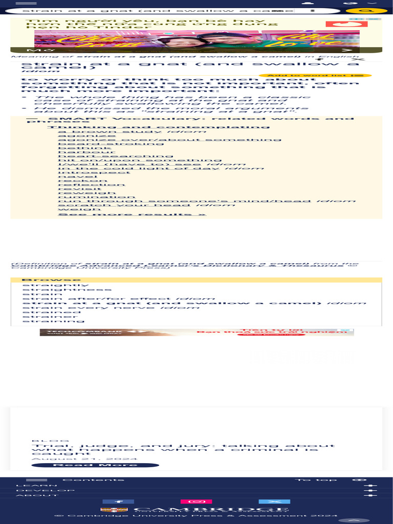 Strain at A Gnat (And Swallow A Camel) - Cambridge English Dictionary | PDF