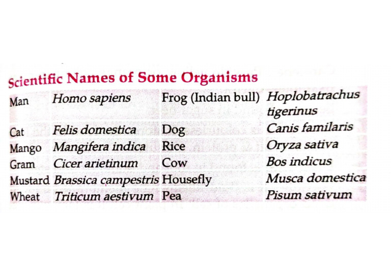 Scientific Names | PDF
