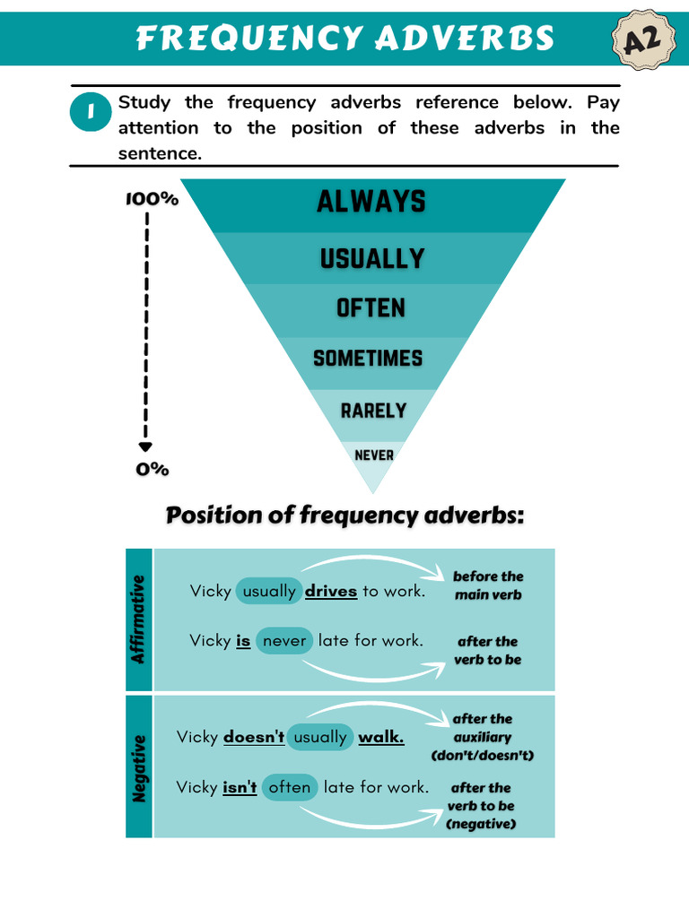 Frequency Adverbs A2 Vocabulary Worksheet PDF | PDF