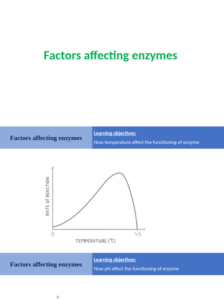 Factors Affecting Enzymes | PDF | Self-Improvement | Wellness