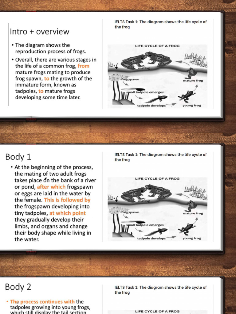 Writing Lesson 17 ODD QUESTIONS | PDF
