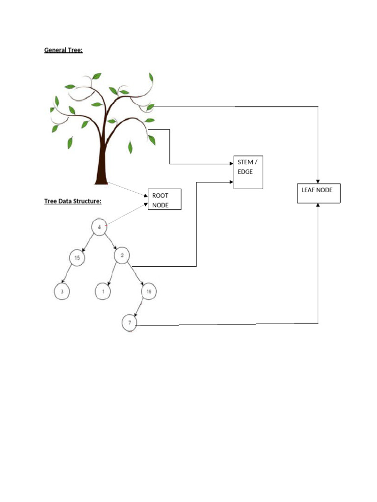 General Tree:: Stem / Edge Leaf Node | PDF