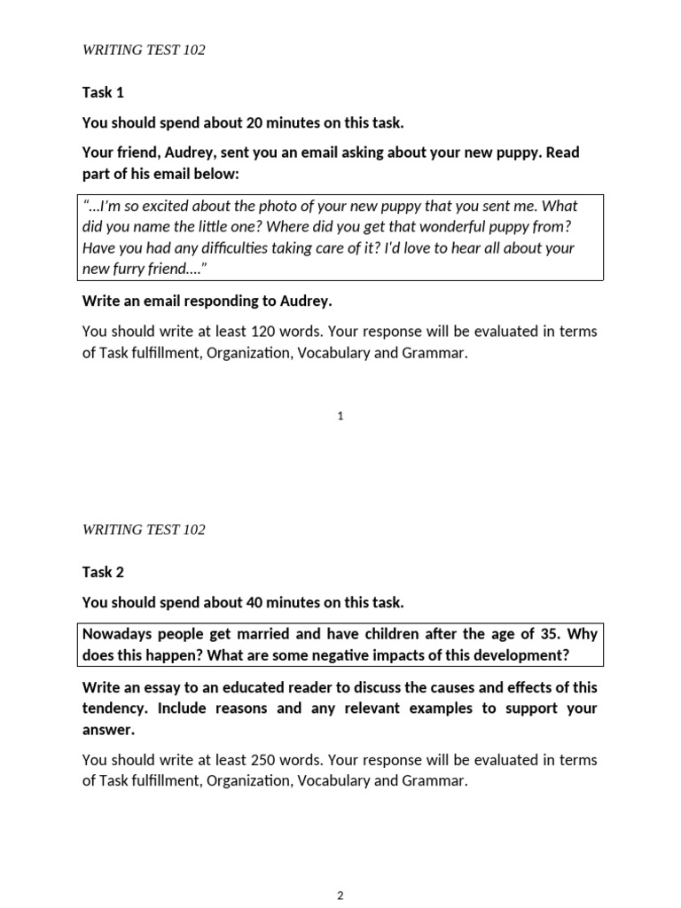 Writing Test 102 | PDF
