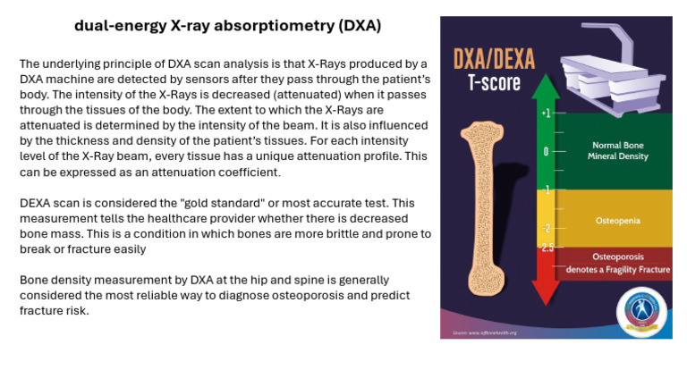 DXA Scan: Bone Density & Osteoporosis | PDF