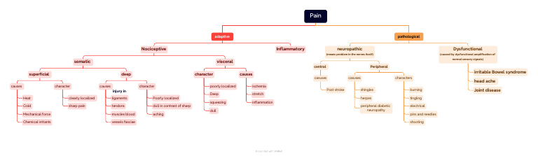 Types and Causes of Pain Explained | PDF | Pain | Peripheral Neuropathy