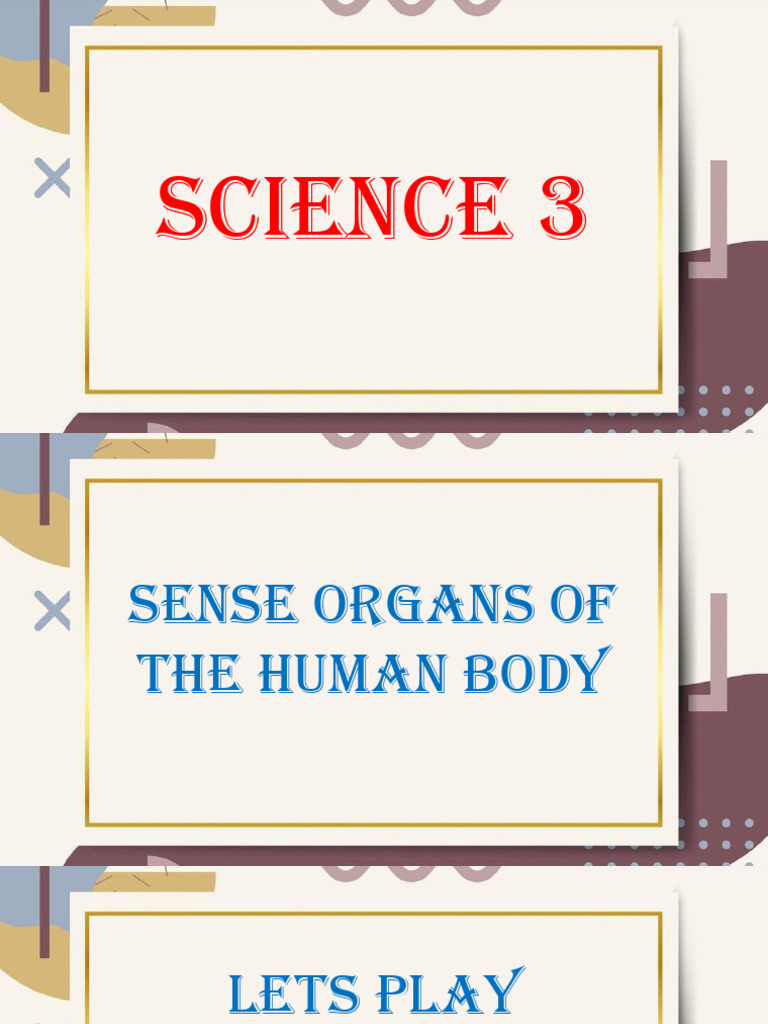 Sense Organ of the Body | PDF | Ear | Taste