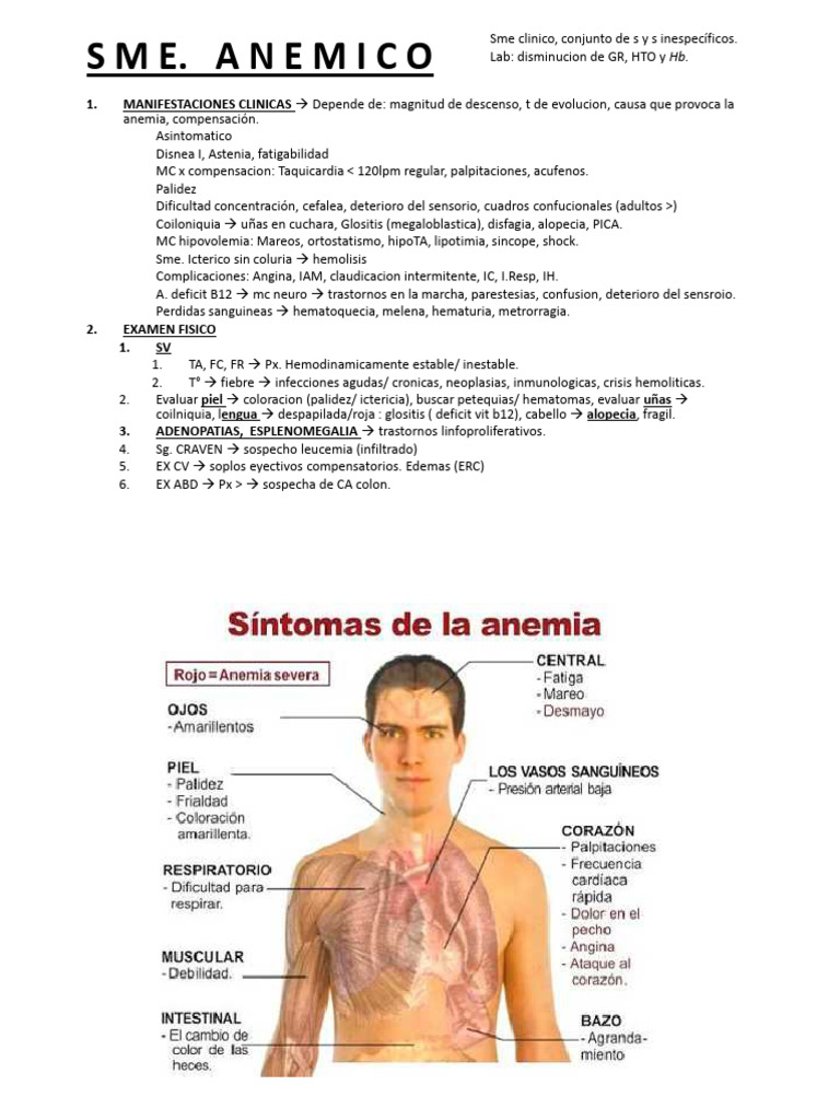 Manifestaciones y Diagnóstico de Anemia | PDF | Anemia | Tejido (biología)