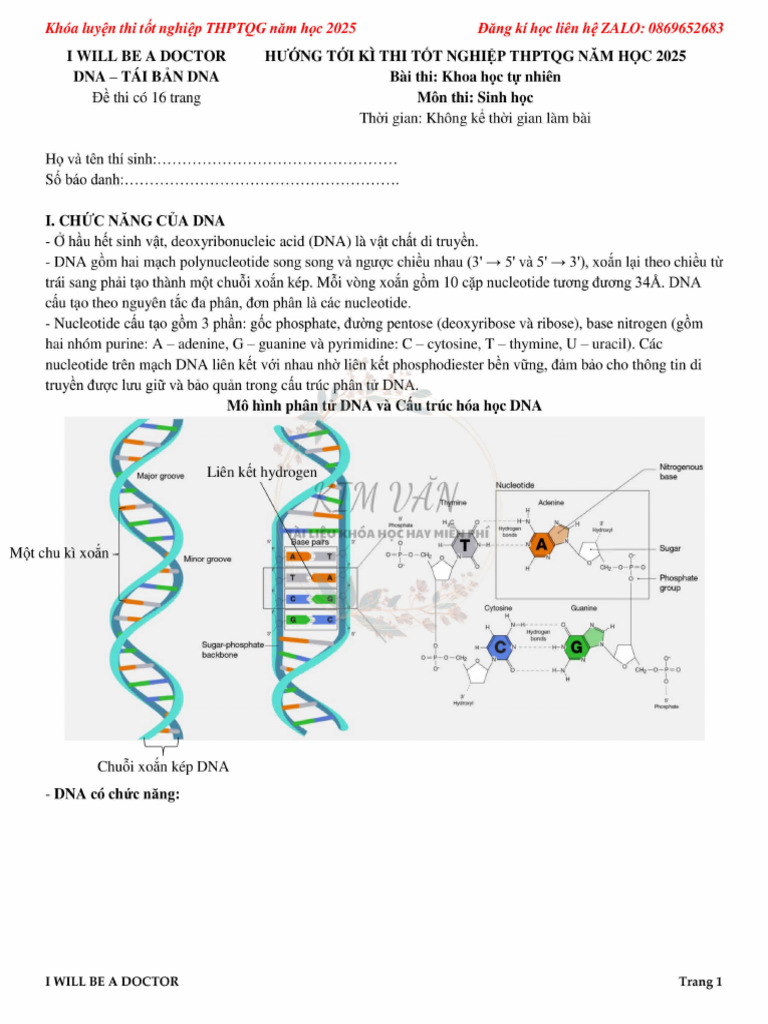 Buoi 2 Dna Tai Ban Dna | PDF