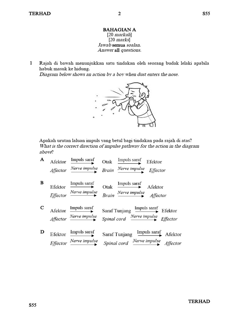 UASA Sains Form3 | PDF
