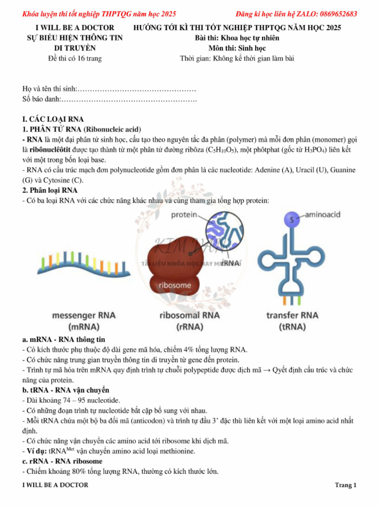 Buoi 4 Su Bieu Hien Thong Tin Di Truyen | PDF