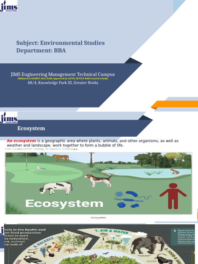 Lecture 2 Ecosystem | PDF | Food Web | Primary Production