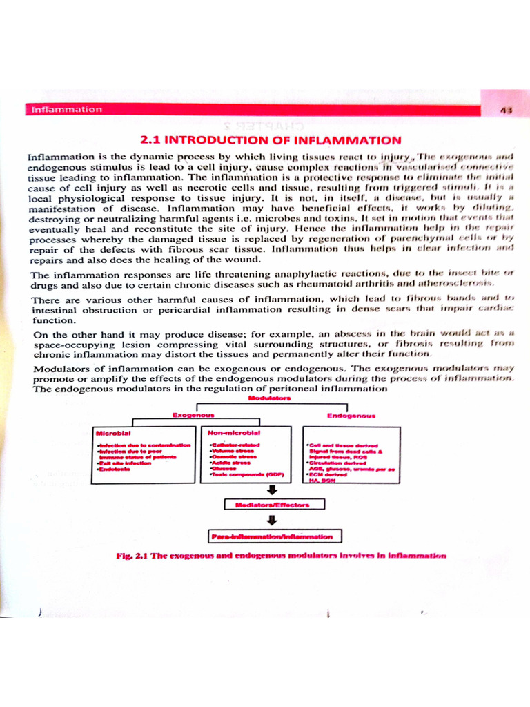 Inflammation Pathophysiology | PDF