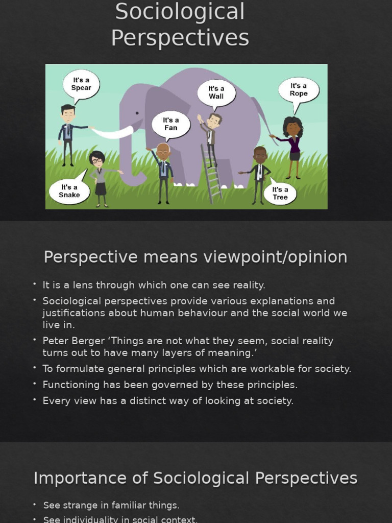 Understanding Sociological Perspectives | PDF | Sociology | Society