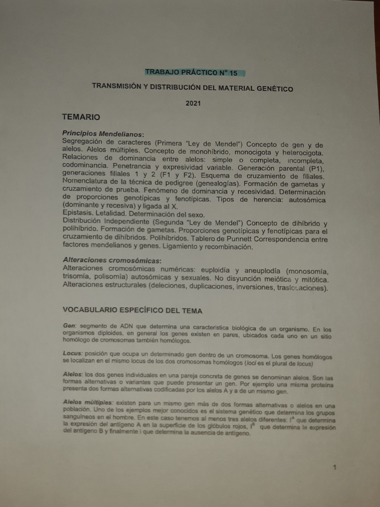 TP 15 Resuelto | PDF