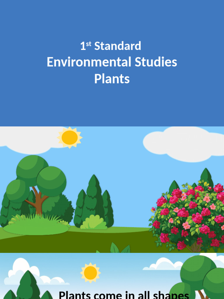 EVS 1st Plants (Autosaved) (Autosaved) | PDF