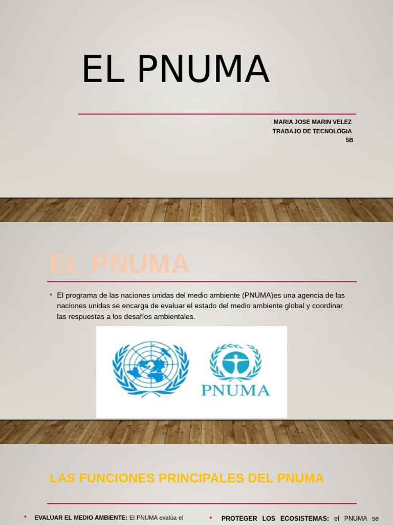 El Pnuma Por Maria Jose Marin Velez | PDF | Programa del Medio Ambiente ...