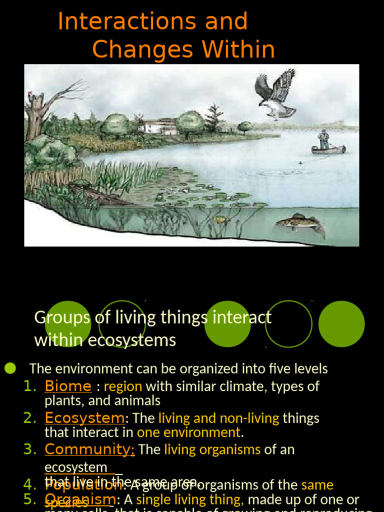 Lesson 4.c.interaction Among Organisms in An Ecosystem | PDF ...