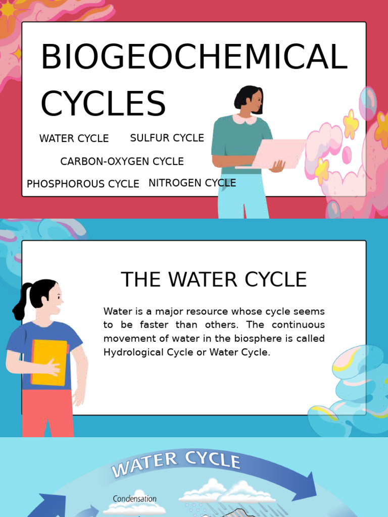 Lesson 4.d.biogeochemical Cycles | PDF | Sulfur | Combustion