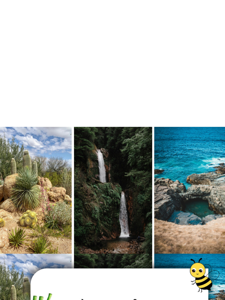 Presentation 4 | PDF