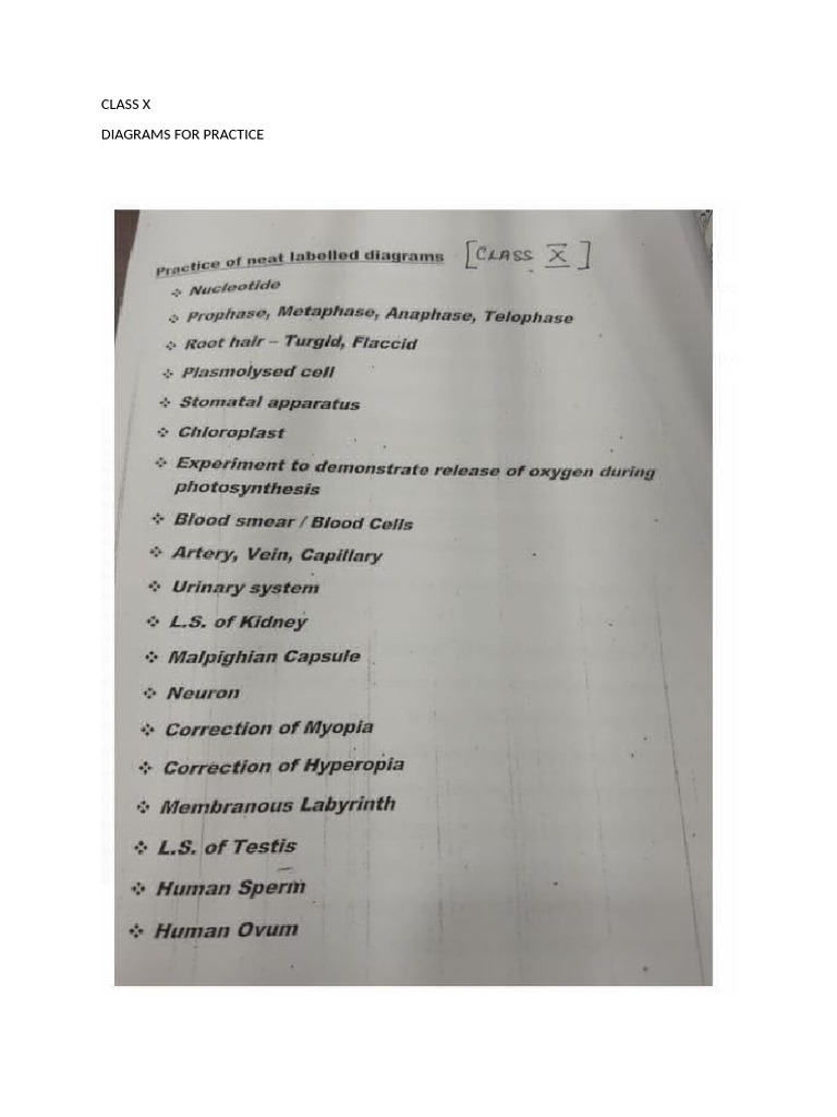 CLASS X Diagrams (1) | PDF