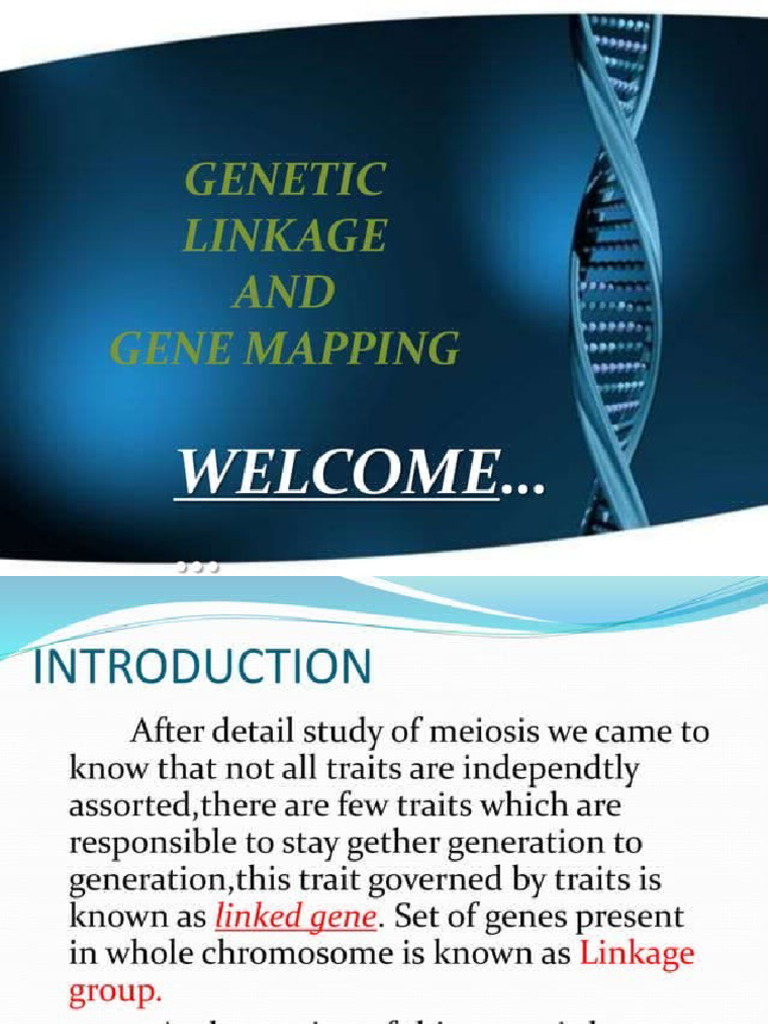 2&3 Point Test Cross, Interference, Genetic Map | PDF