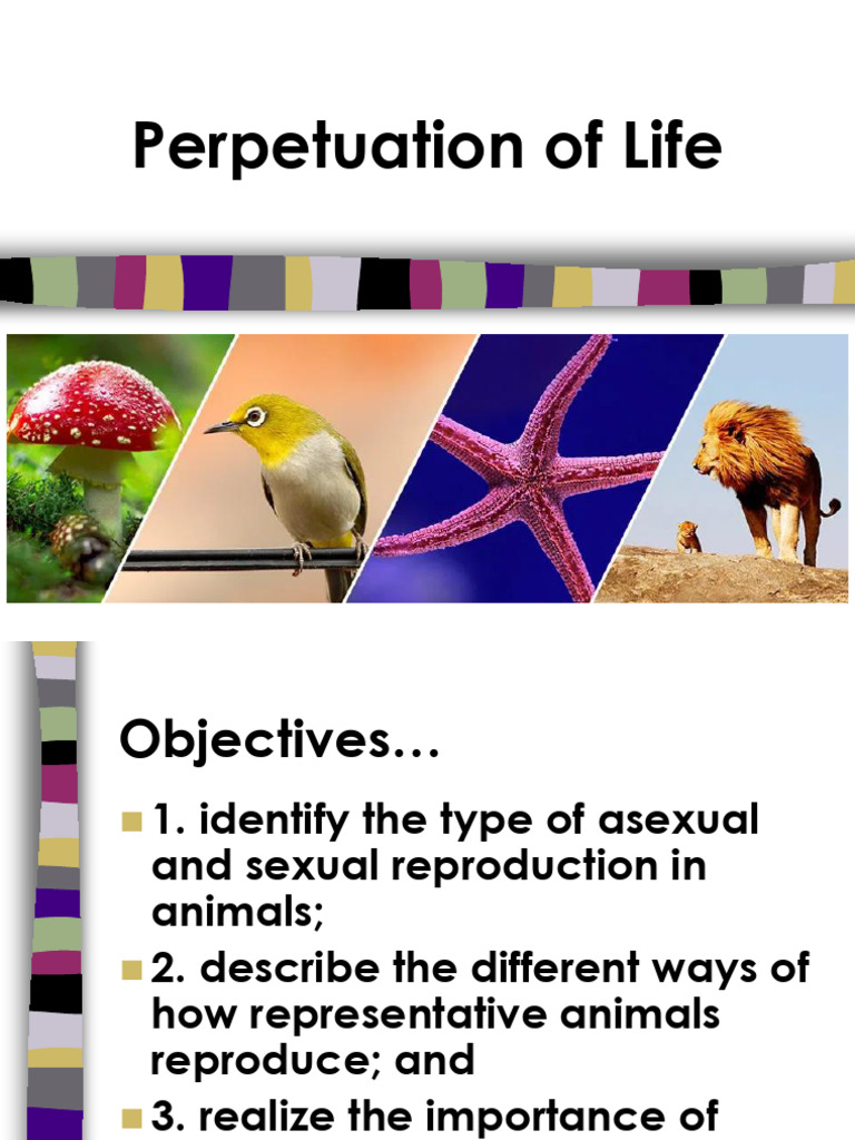Lesson 3 PERPETUATION of LIFE | PDF | Sexual Reproduction | Reproduction