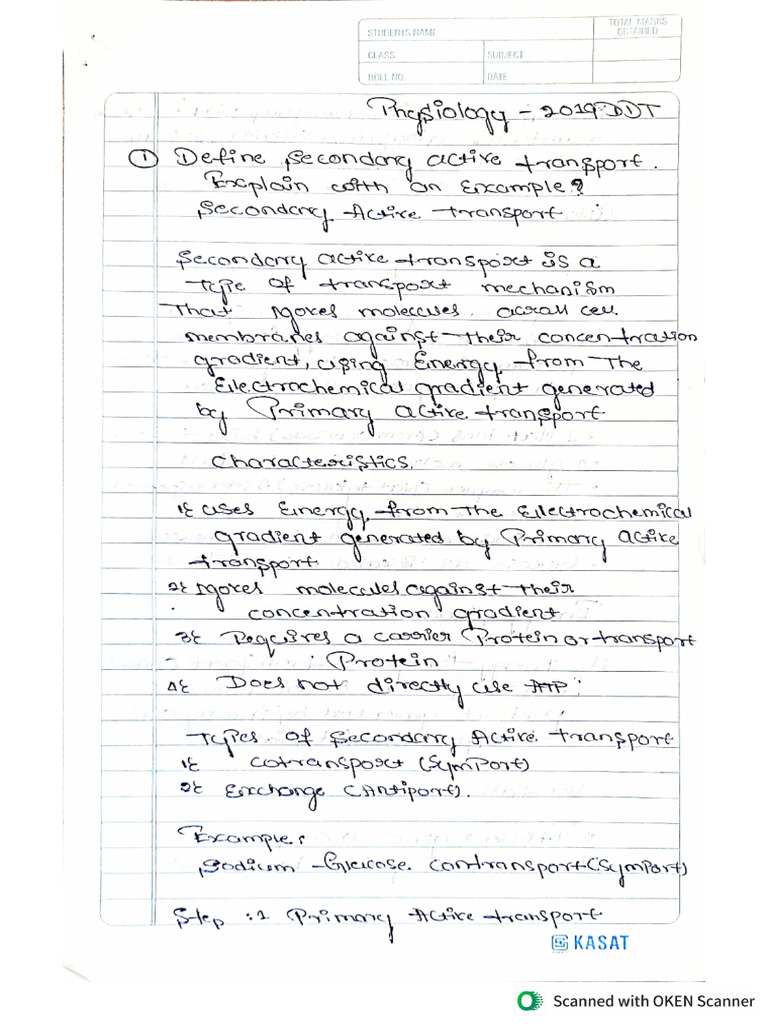 12physiology 2019 Ddi | PDF