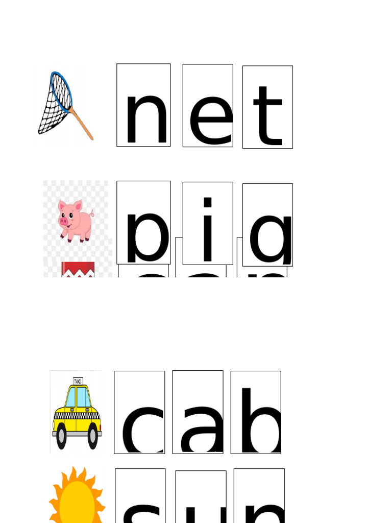 Net Pig Cab: A Unique Overview | PDF