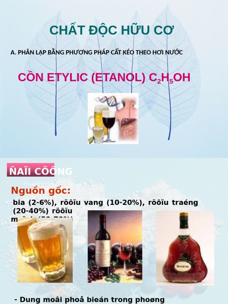 (123doc) - Chat-Doc-Huu-Co-Ngo-Doc-Ethanol-Va-Methanol-Doc-Chat-Hoc-Chu-Bien-Dang-Do-Dung-Font ...